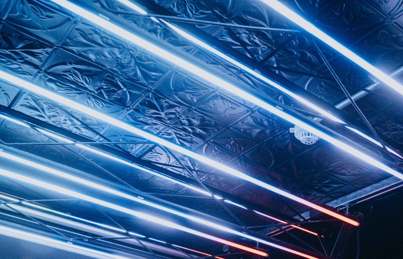 Goodwill Club — The Rechabite