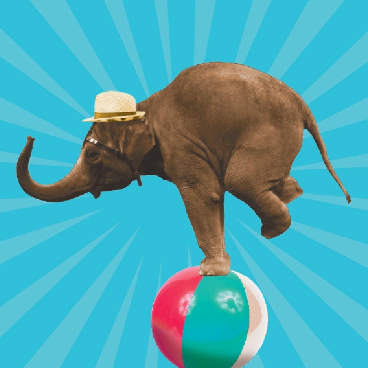 BIGGEST COMEDY SHOW ON EARTH — The Rechabite